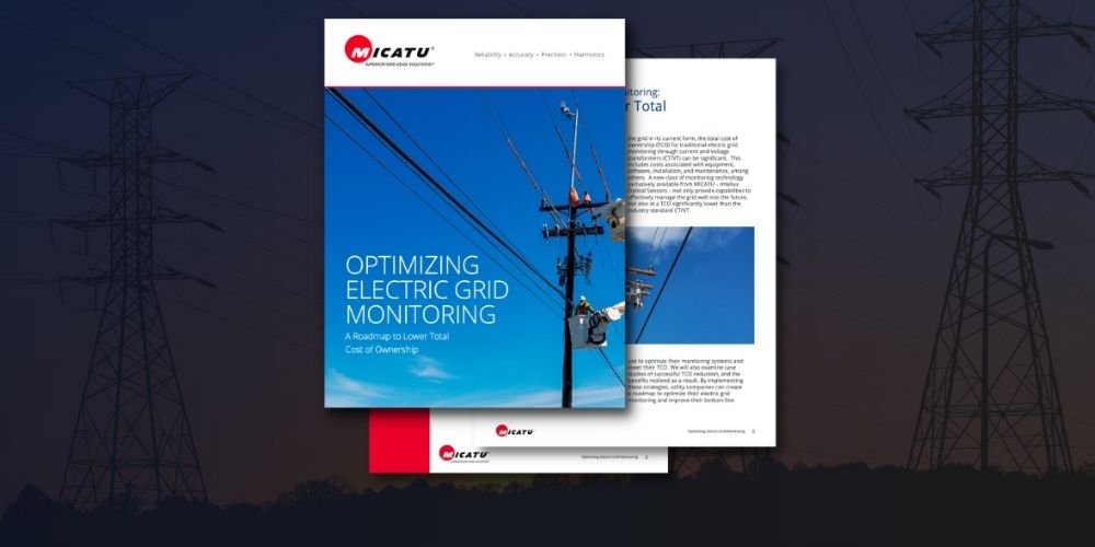 Total Cost of Ownership for Electric Grip Monitoring | Whitepaper